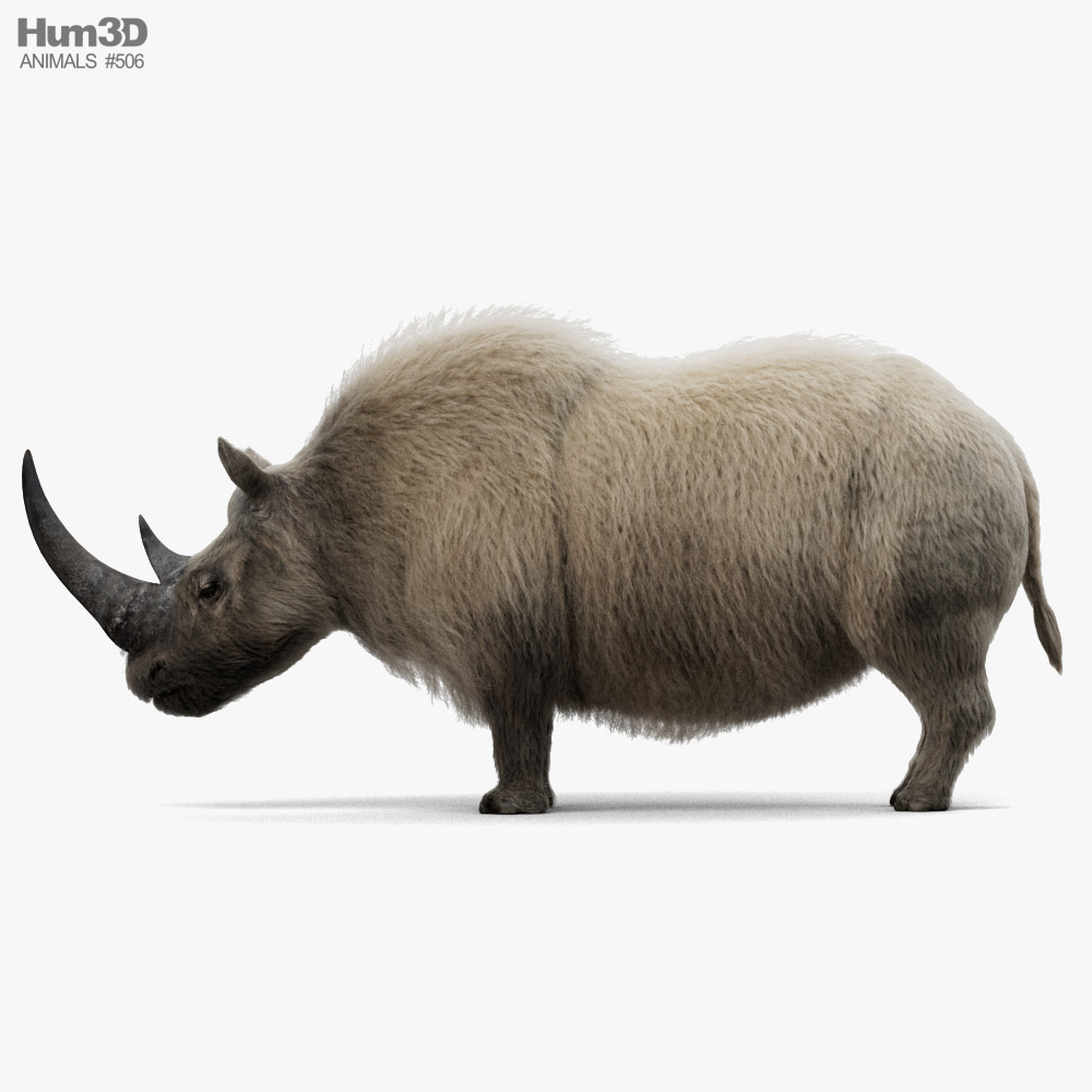 Woolly Rhinoceros 3D model - Download Mammals on 3DModels.org