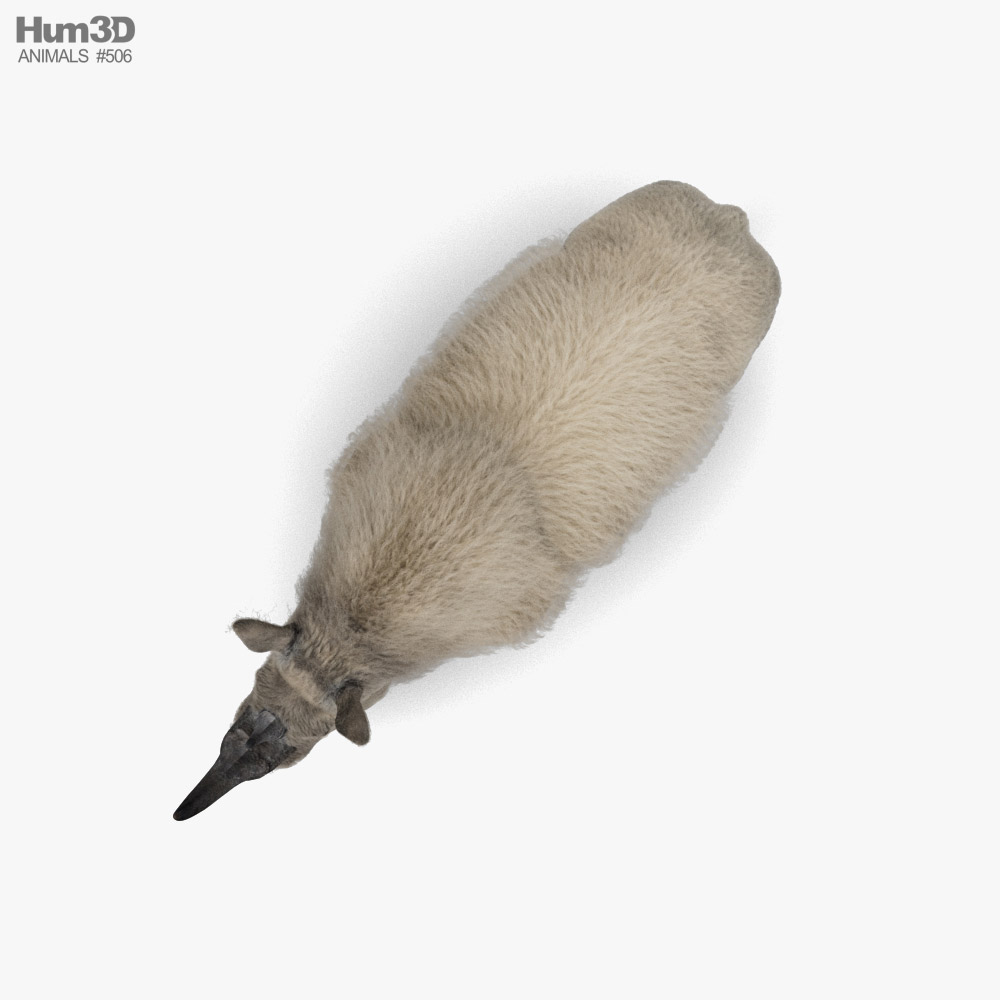 Woolly Rhinoceros 3D model - Download Mammals on 3DModels.org