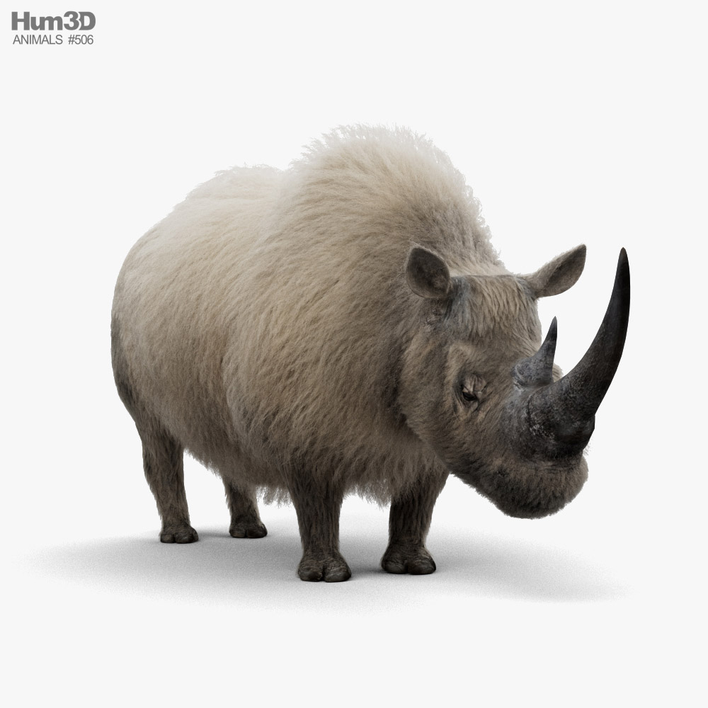 Woolly Rhinoceros 3D model - Download Mammals on 3DModels.org