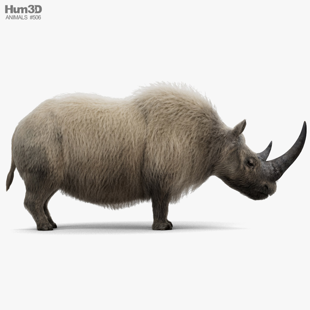 Woolly Rhinoceros 3D model - Download Mammals on 3DModels.org