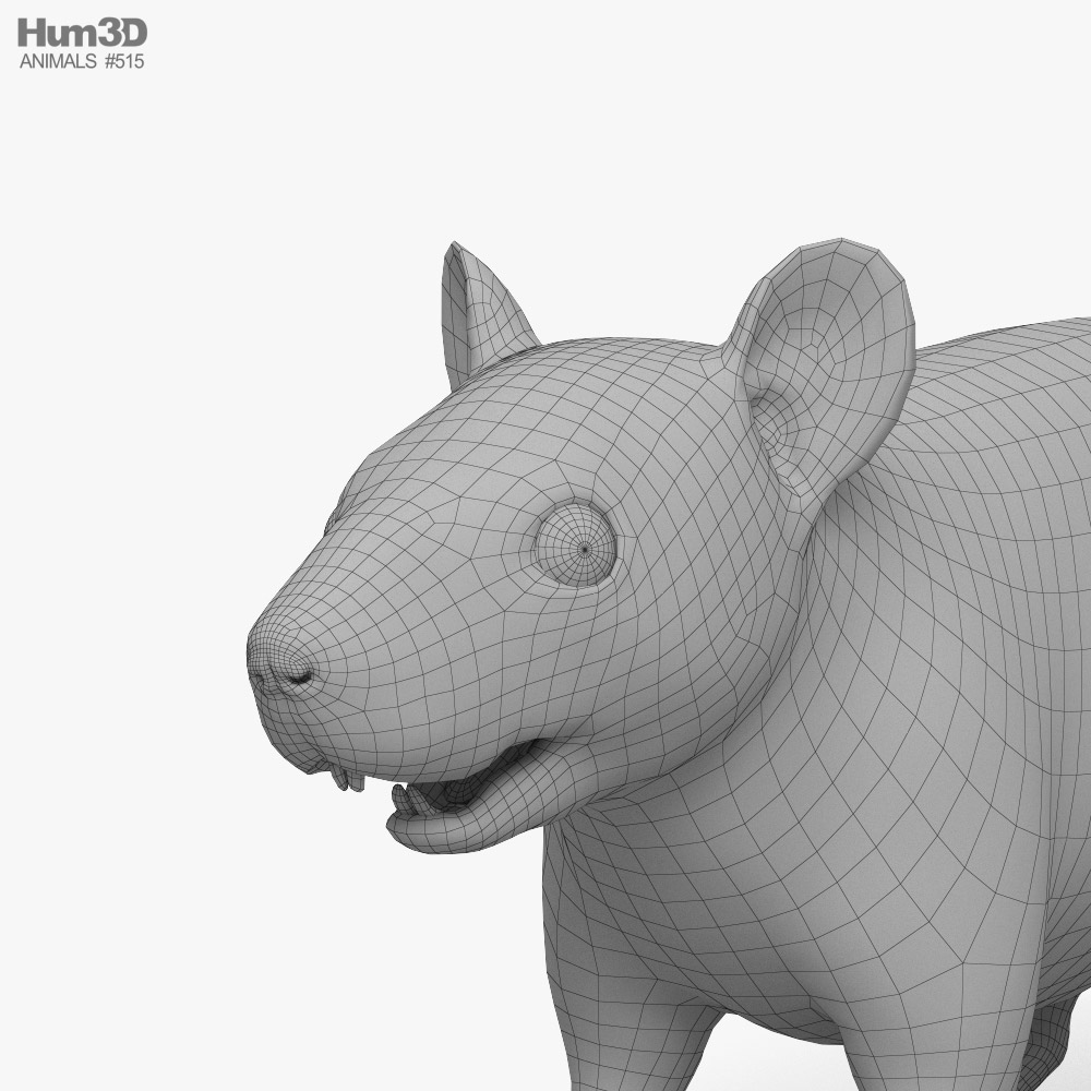 White Rat 3D model - Download Mammals on 3DModels.org