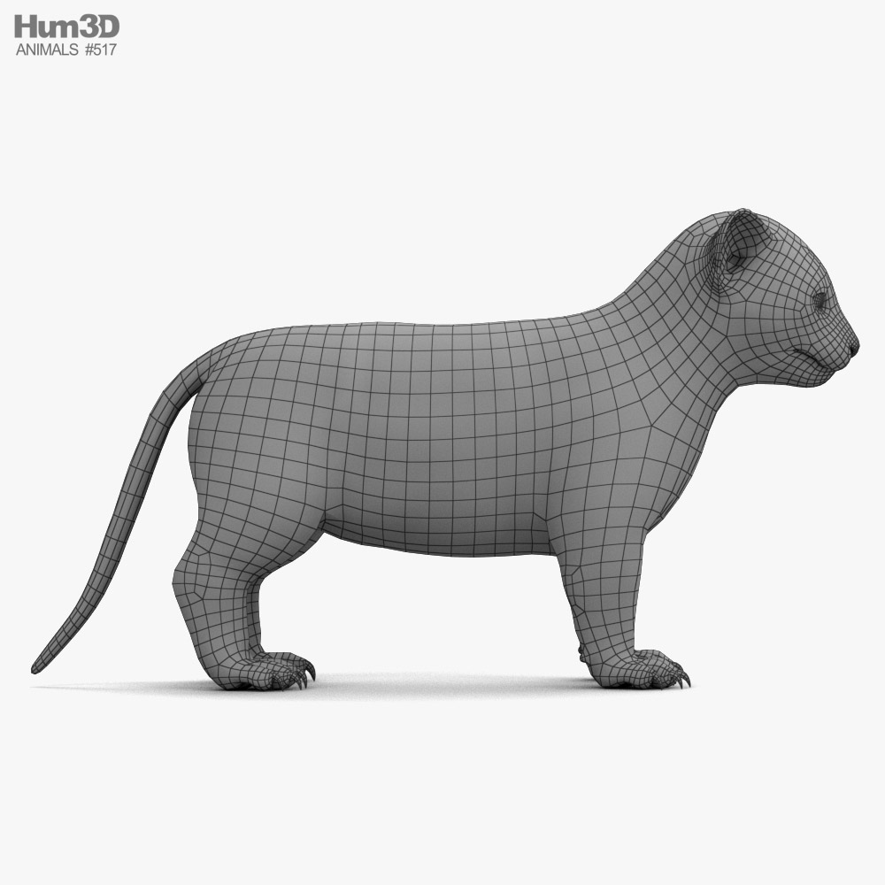 Jaguar Cub 3D model - Download Mammals on 3DModels.org