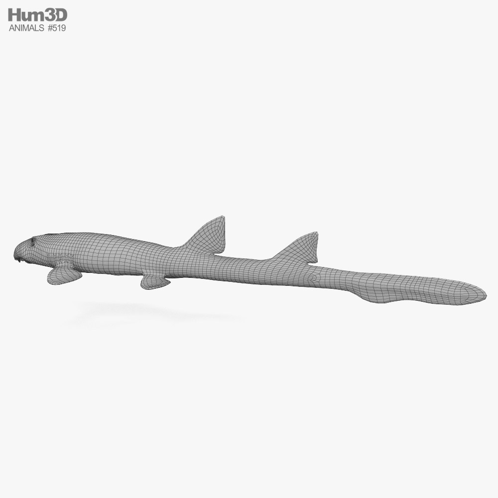 Epaulette Shark 3D model - Download Fish on 3DModels.org