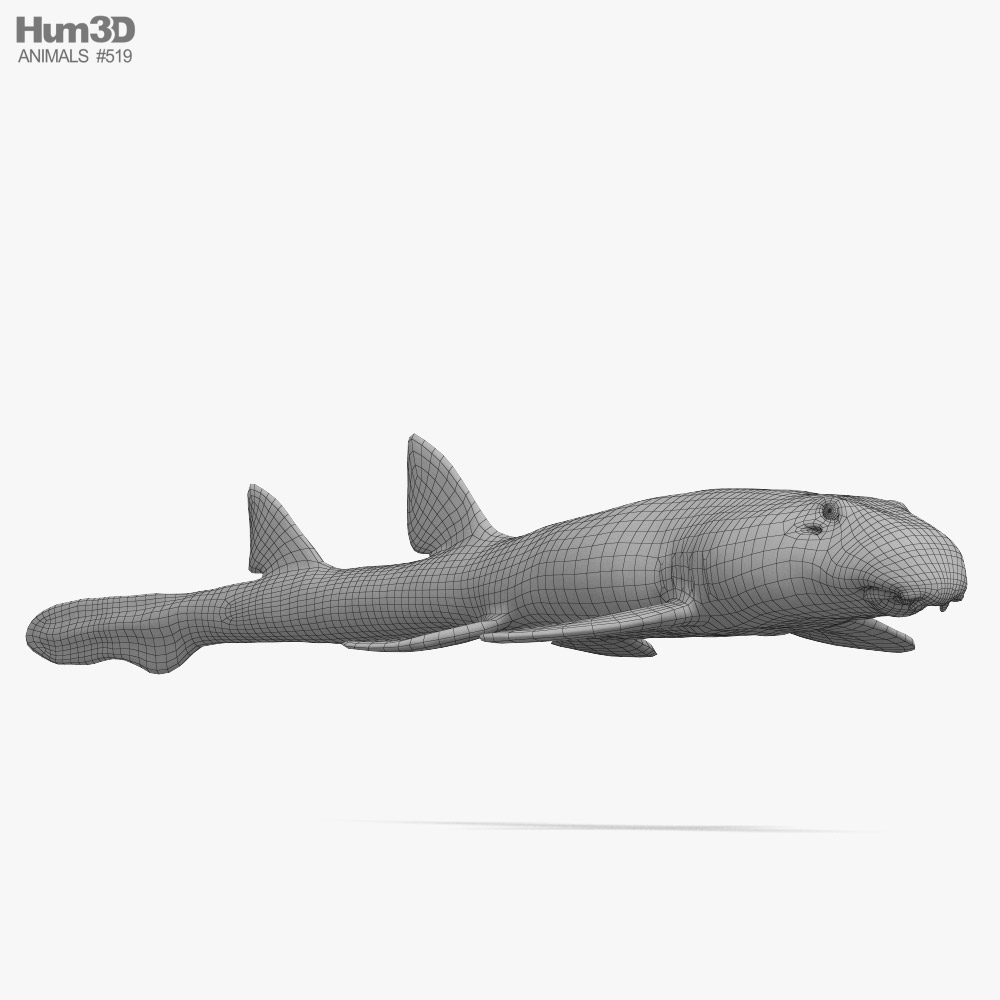 Epaulette Shark 3D model - Download Fish on 3DModels.org