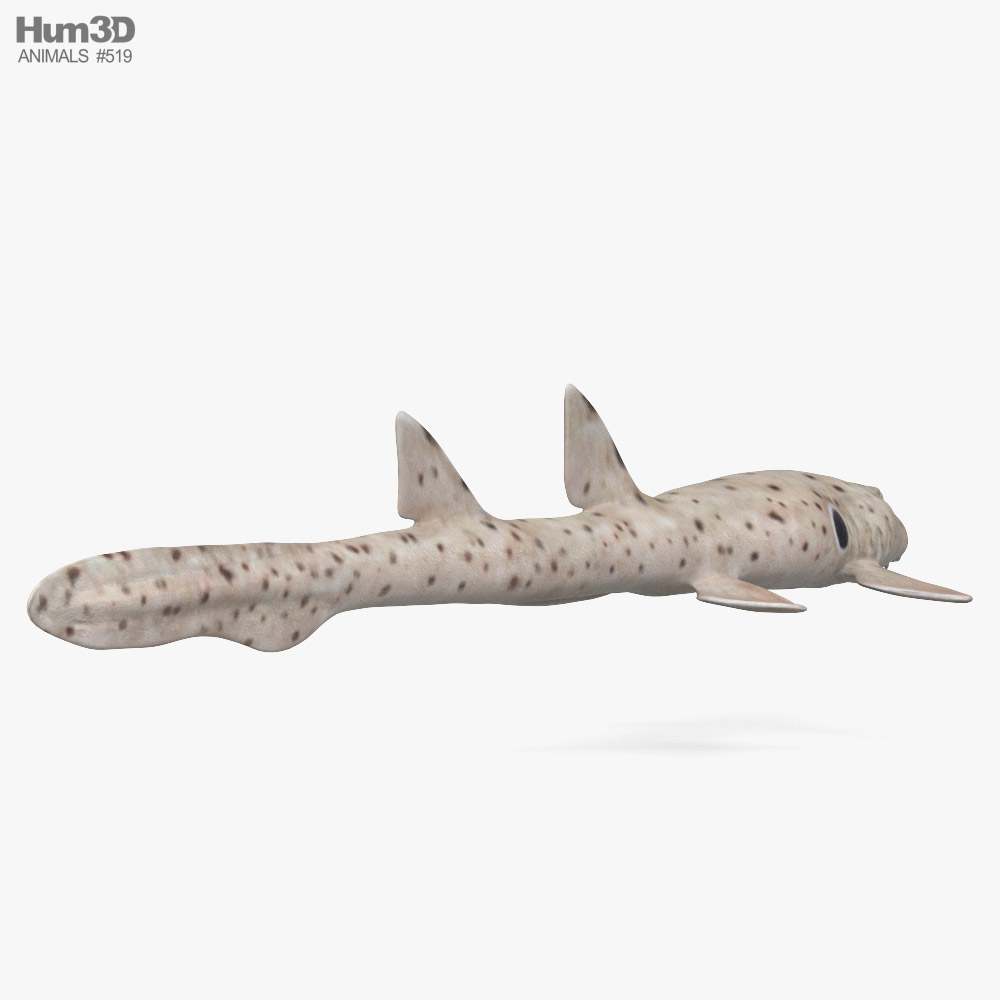 Epaulette Shark 3D model - Download Fish on 3DModels.org