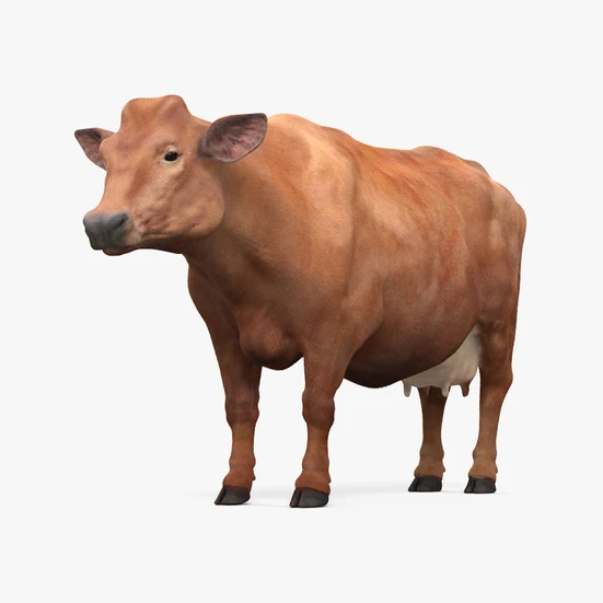 Cow 3D Models Download - 3DModels.org