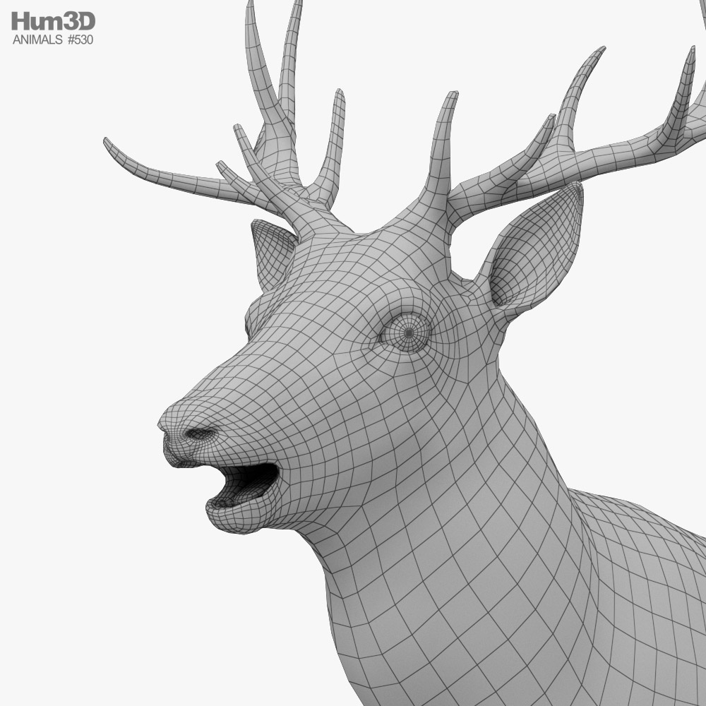 Red Deer 3D model - Download Mammals on 3DModels.org