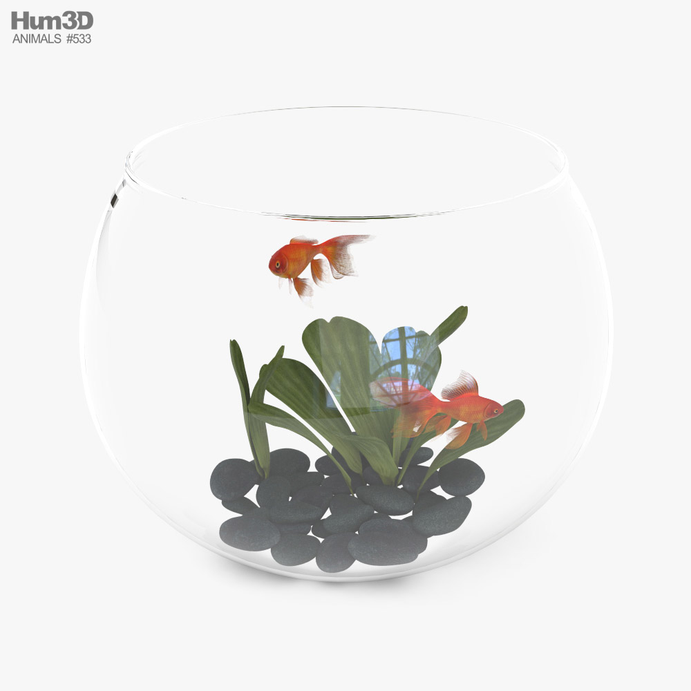 Round Aquarium with GoldFish 3D model - Download Fish on 3DModels.org