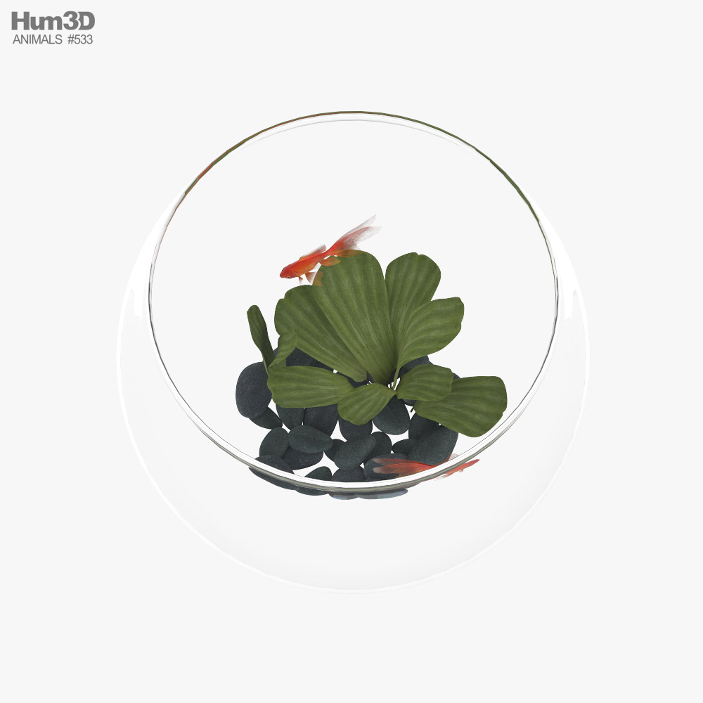Round Aquarium with GoldFish 3D model - Download Fish on 3DModels.org