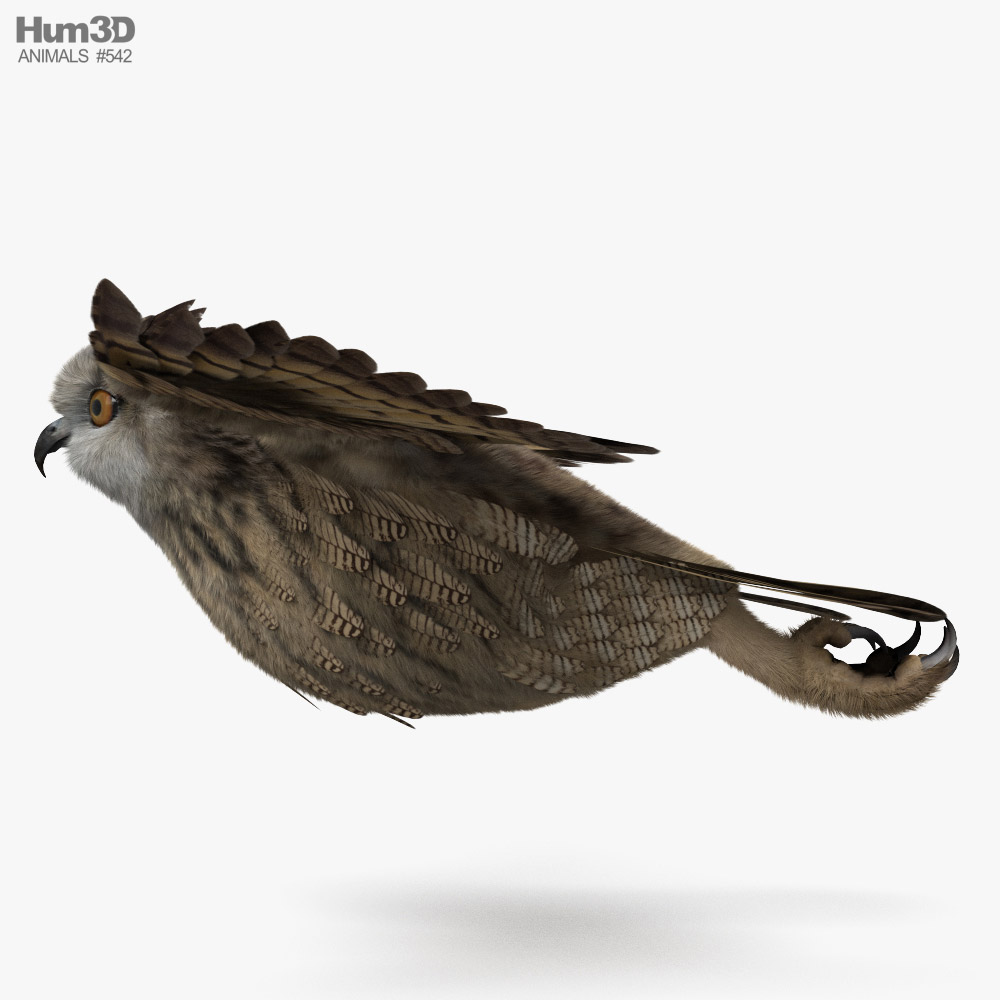 Eurasian Eagle-Owl Flying 3D model - Download Birds on 3DModels.org