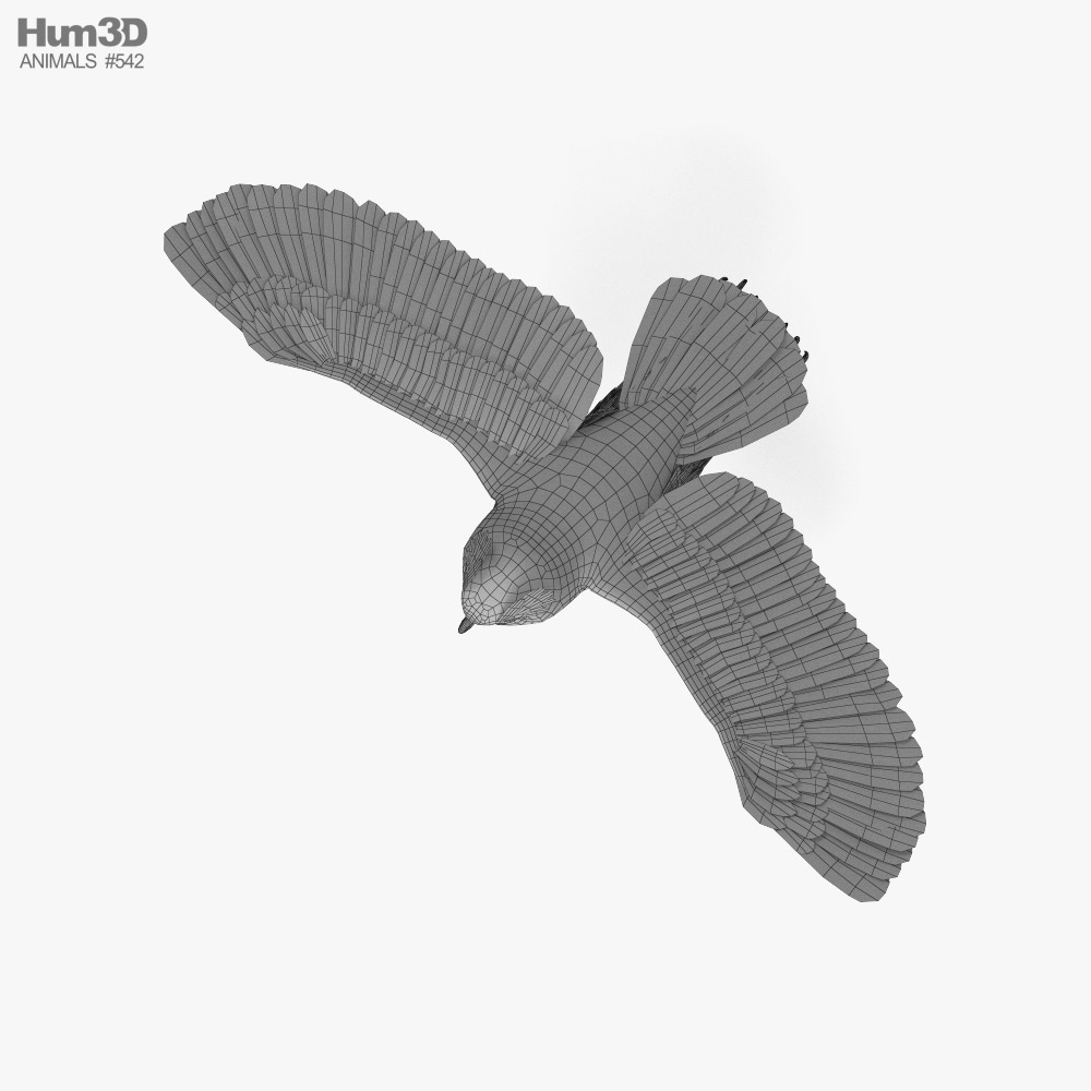 Eurasian Eagle-Owl Flying 3D model - Download Birds on 3DModels.org