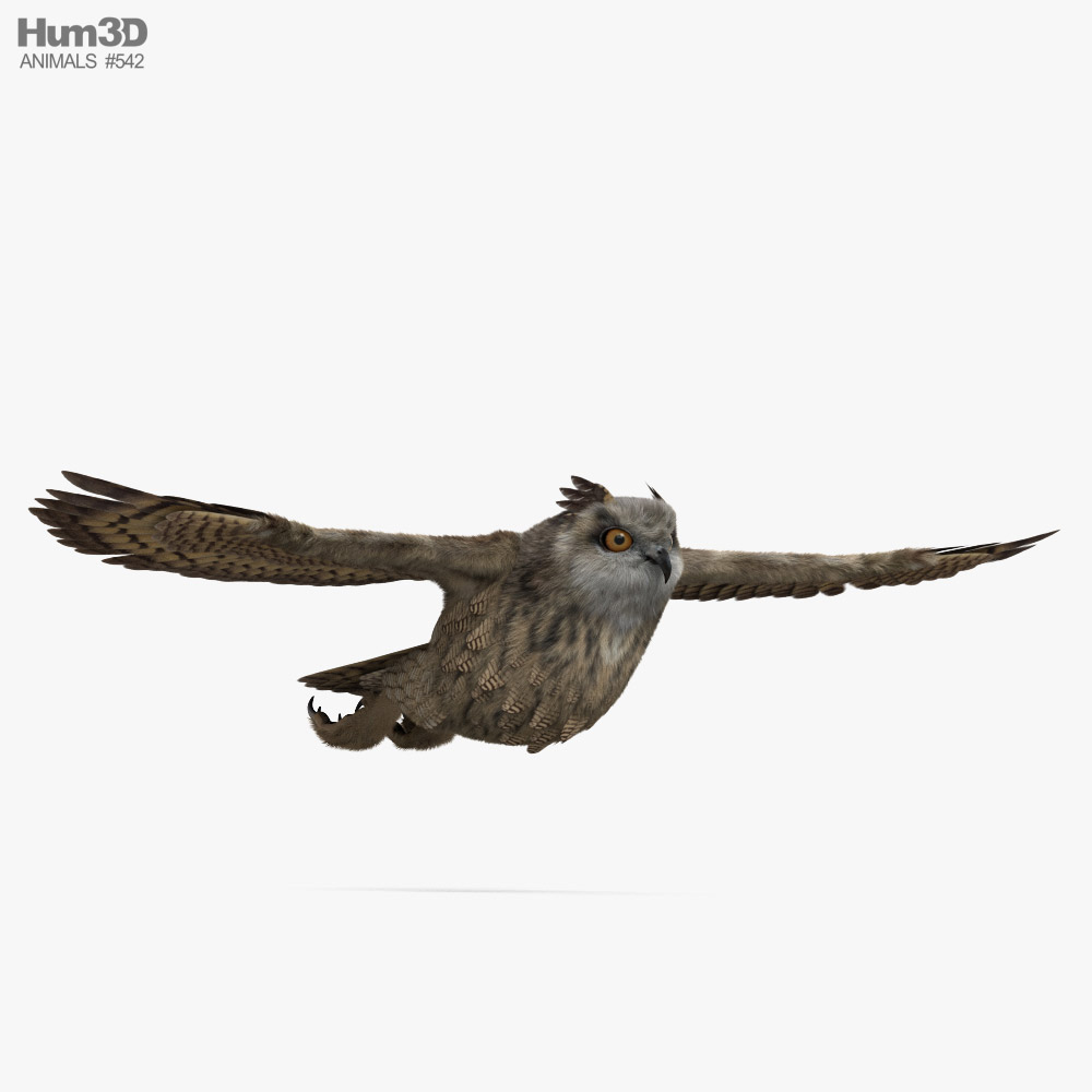 Eurasian Eagle-Owl Flying 3D model - Download Birds on 3DModels.org