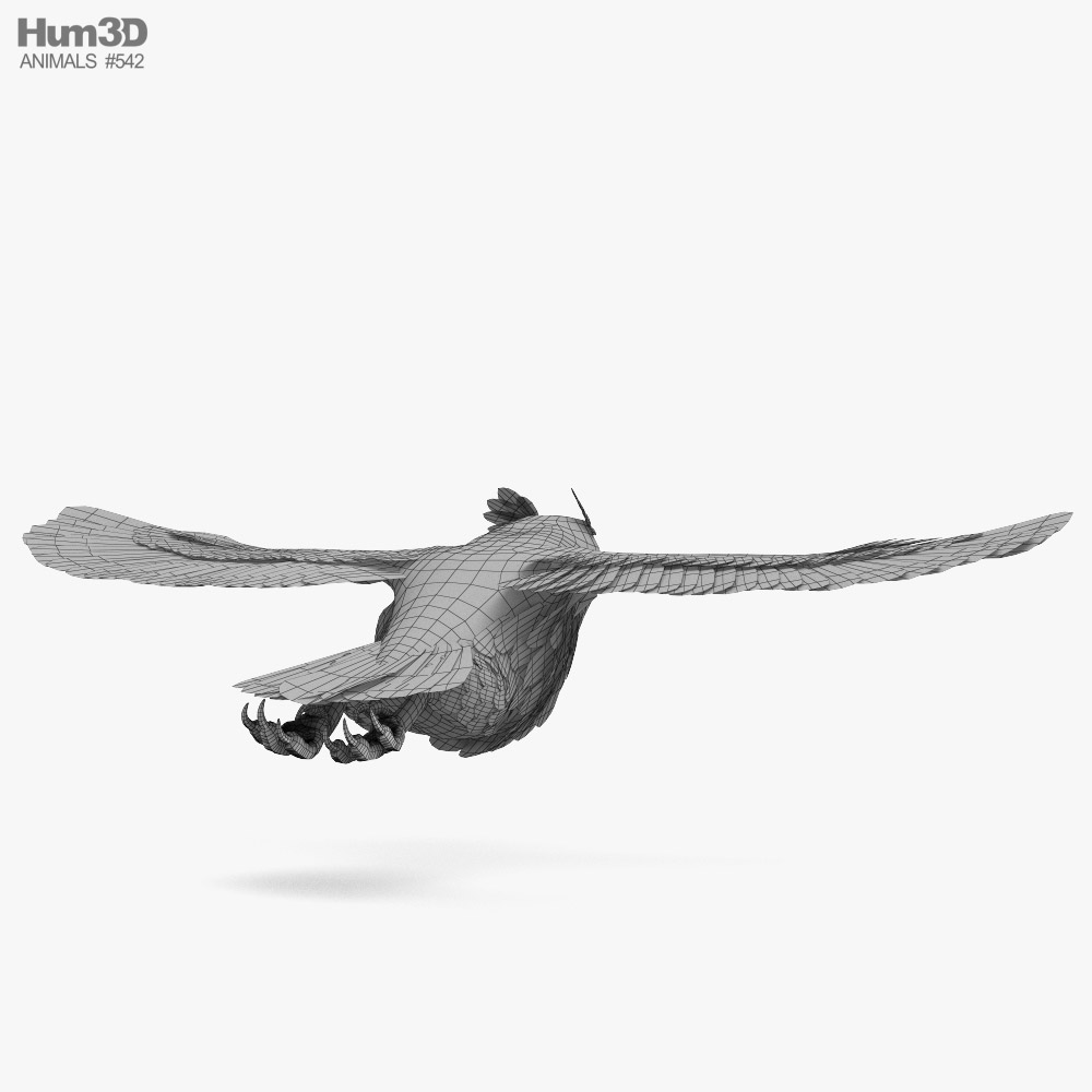 Eurasian Eagle-Owl Flying 3D model - Download Birds on 3DModels.org