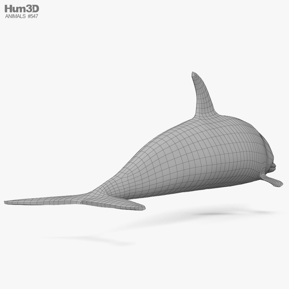 Delfín común oceánico Modelo 3D - Descargar Mamíferos marinos on ...