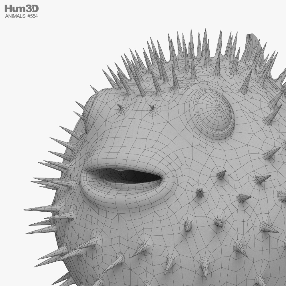 Pufferfish 3D model - Download Fish on 3DModels.org