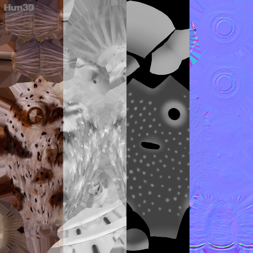 Pufferfish 3D model - Download Fish on 3DModels.org