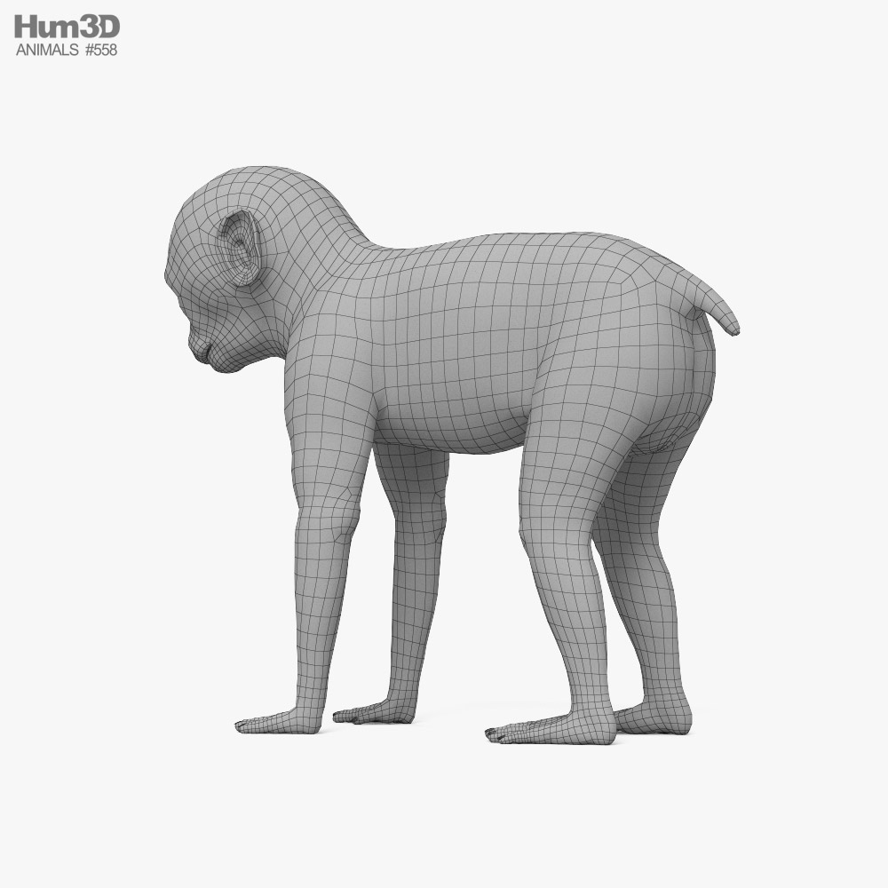 Animated Japanese Macaque Baby 3D model - Download Mammals on 3DModels.org