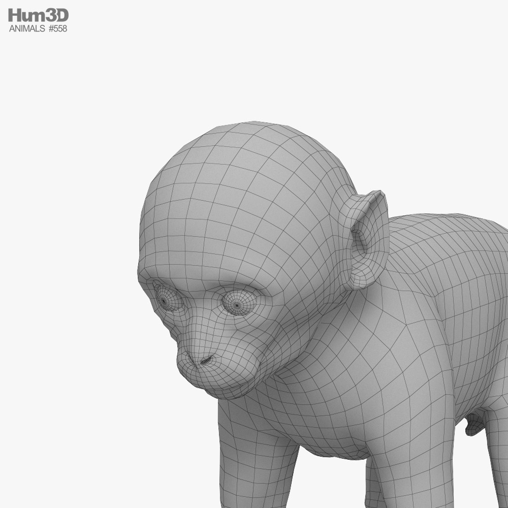 Animated Japanese Macaque Baby 3D model - Download Mammals on 3DModels.org