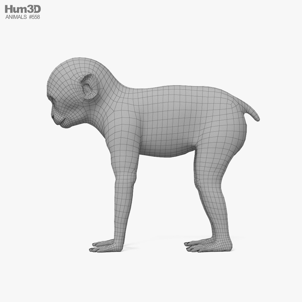 Animated Japanese Macaque Baby 3D model - Download Mammals on 3DModels.org
