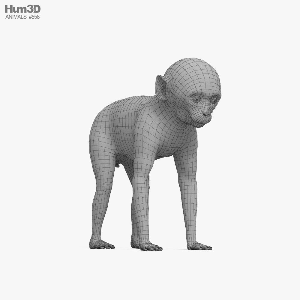 Animated Japanese Macaque Baby 3D model - Download Mammals on 3DModels.org