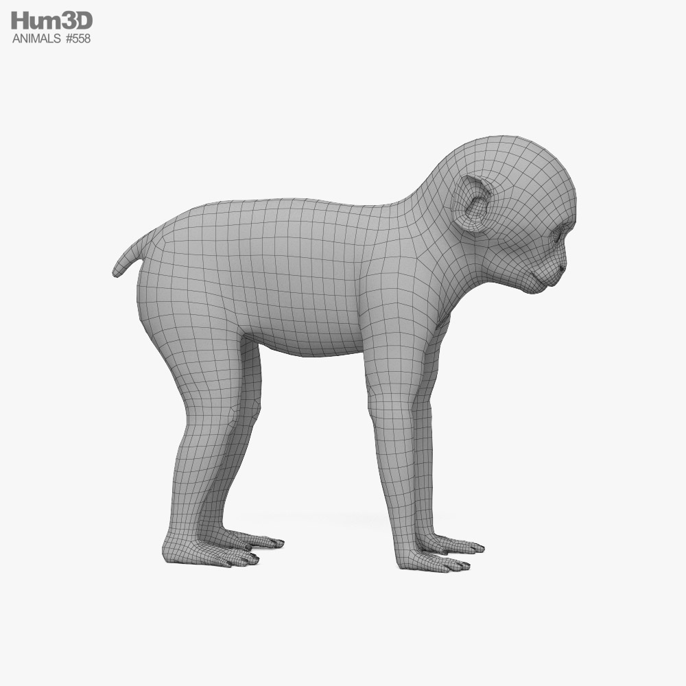 Animated Japanese Macaque Baby 3D model - Download Mammals on 3DModels.org