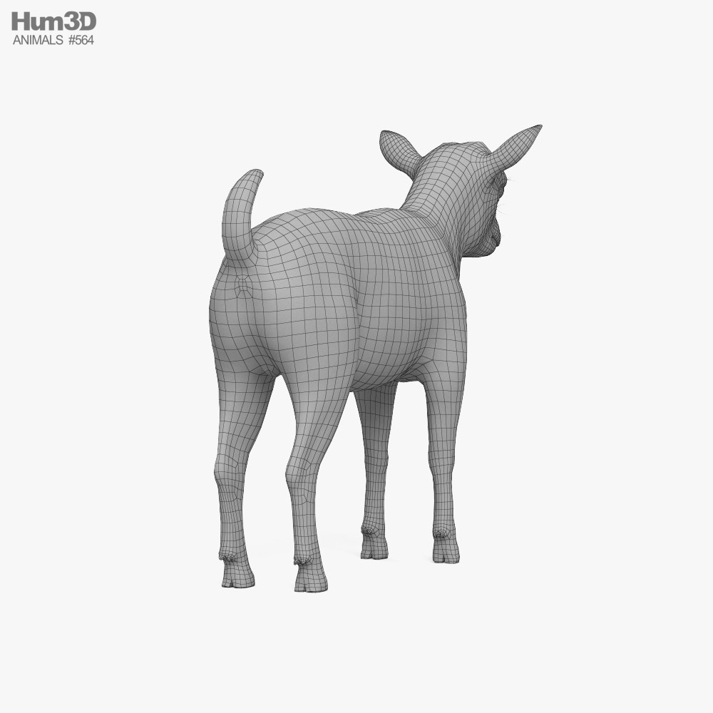 Goat Baby 3D model - Download Mammals on 3DModels.org