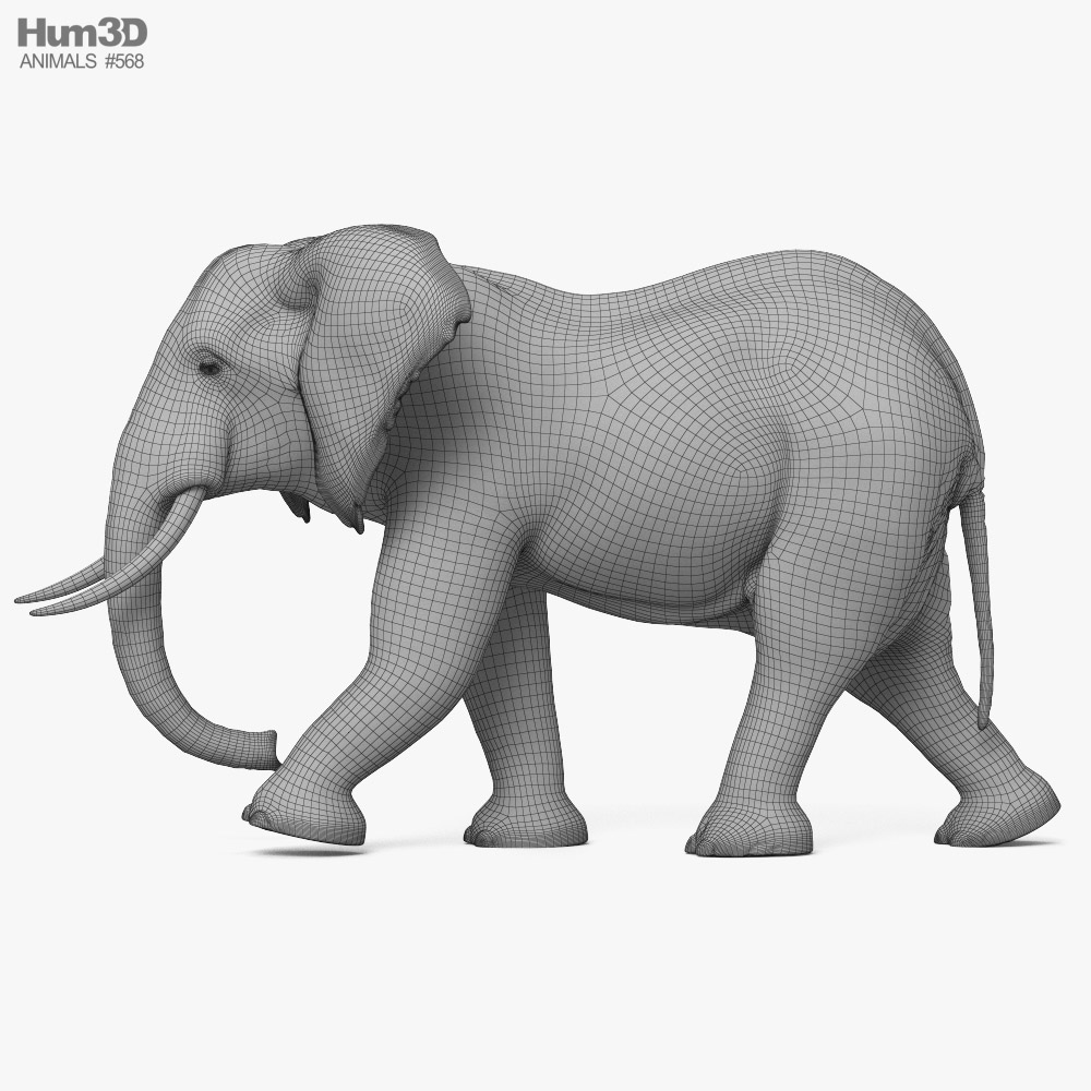 Naglalakad na Elepante ng Africa 3D model - Download Mammals on ...