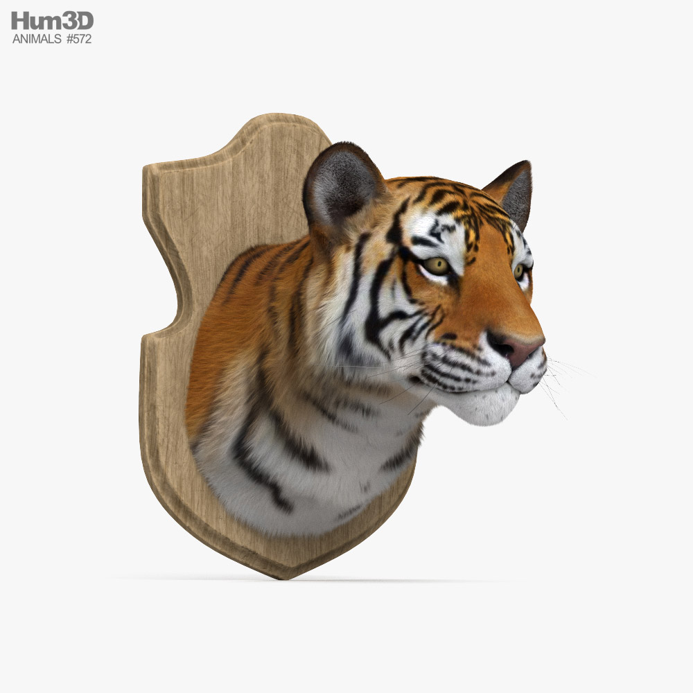 Tiger Head 3D model - Download Mammals on 3DModels.org