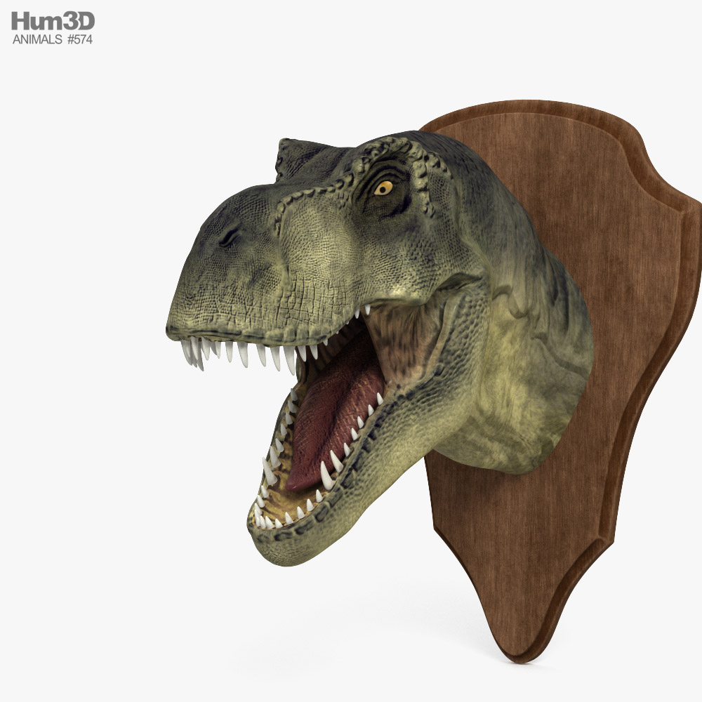 Cabeza de T-Rex Modelo 3D - Descargar Dinosaurio activado 3DModels.org