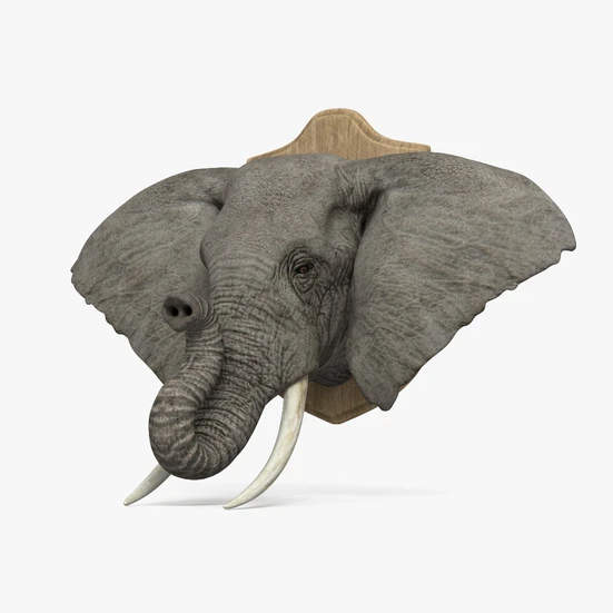 Elephant 3D Models Download - 3DModels.org