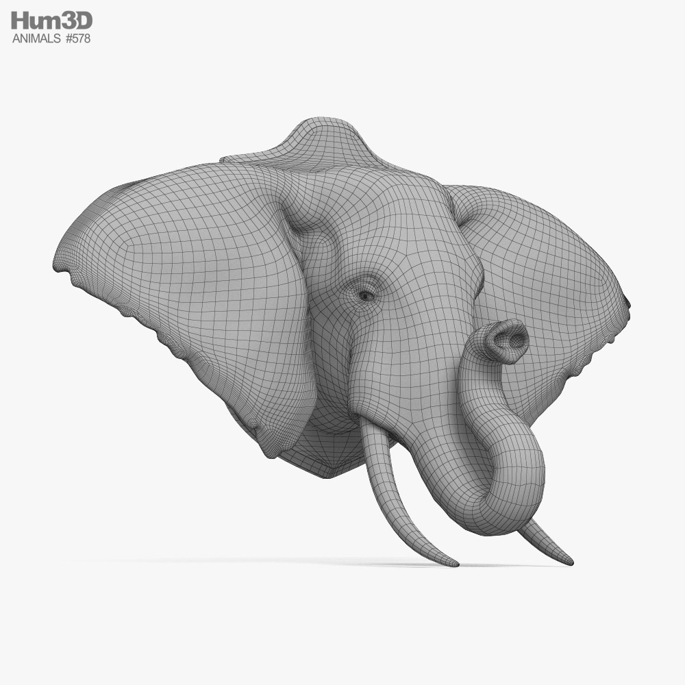 Elephant Head 3D model - Download Mammals on 3DModels.org