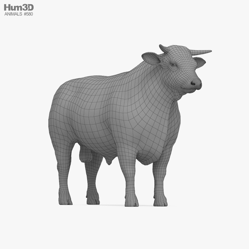 Charolais Cattle Bull 3D model - Download Mammals on 3DModels.org