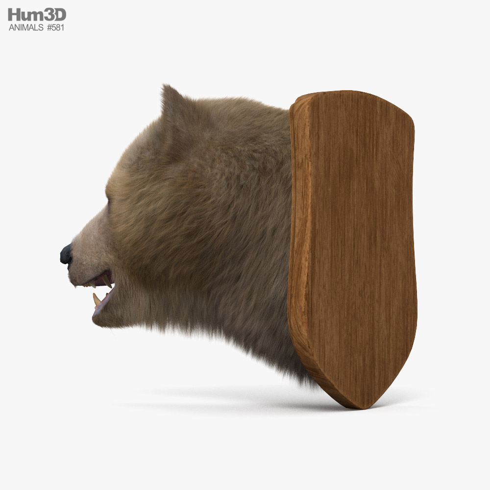 Bear Head 3D model - Download Mammals on 3DModels.org