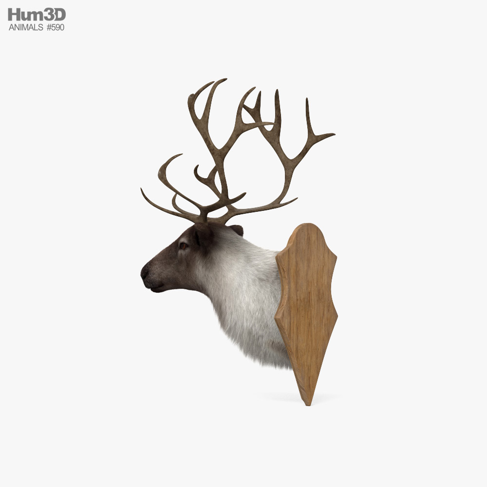 Deer Head 3D model - Download Mammals on 3DModels.org
