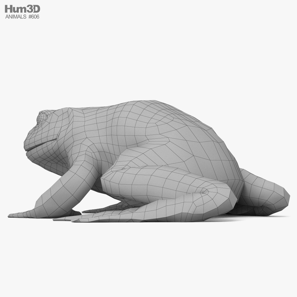 Bullfrog 3D 모델 - 다운로드 양서류 on 3DModels.org