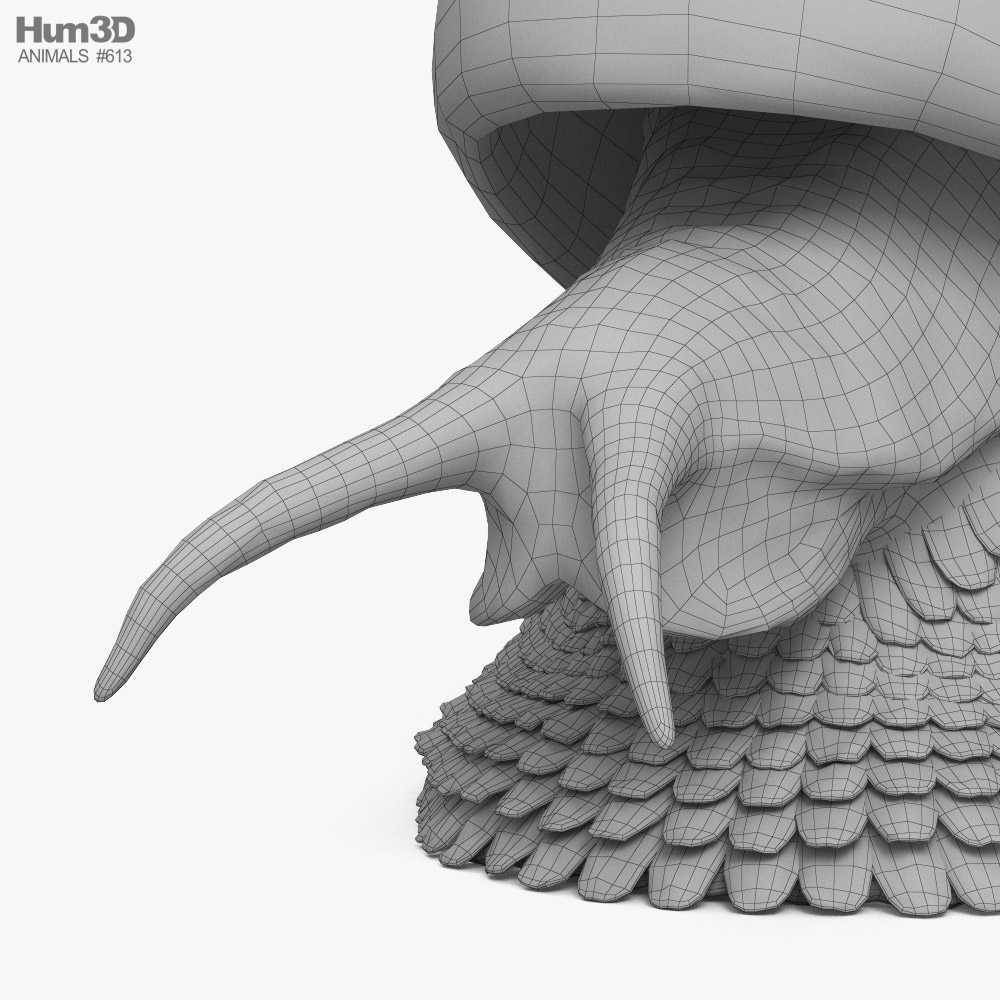 Scaly-Foot Gastropod 3D model - Download Gastropoda on 3DModels.org