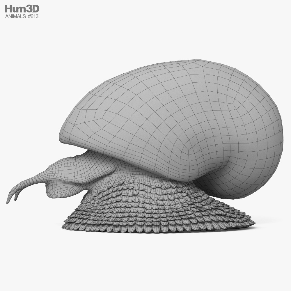 Scaly-Foot Gastropod 3D model - Download Gastropoda on 3DModels.org