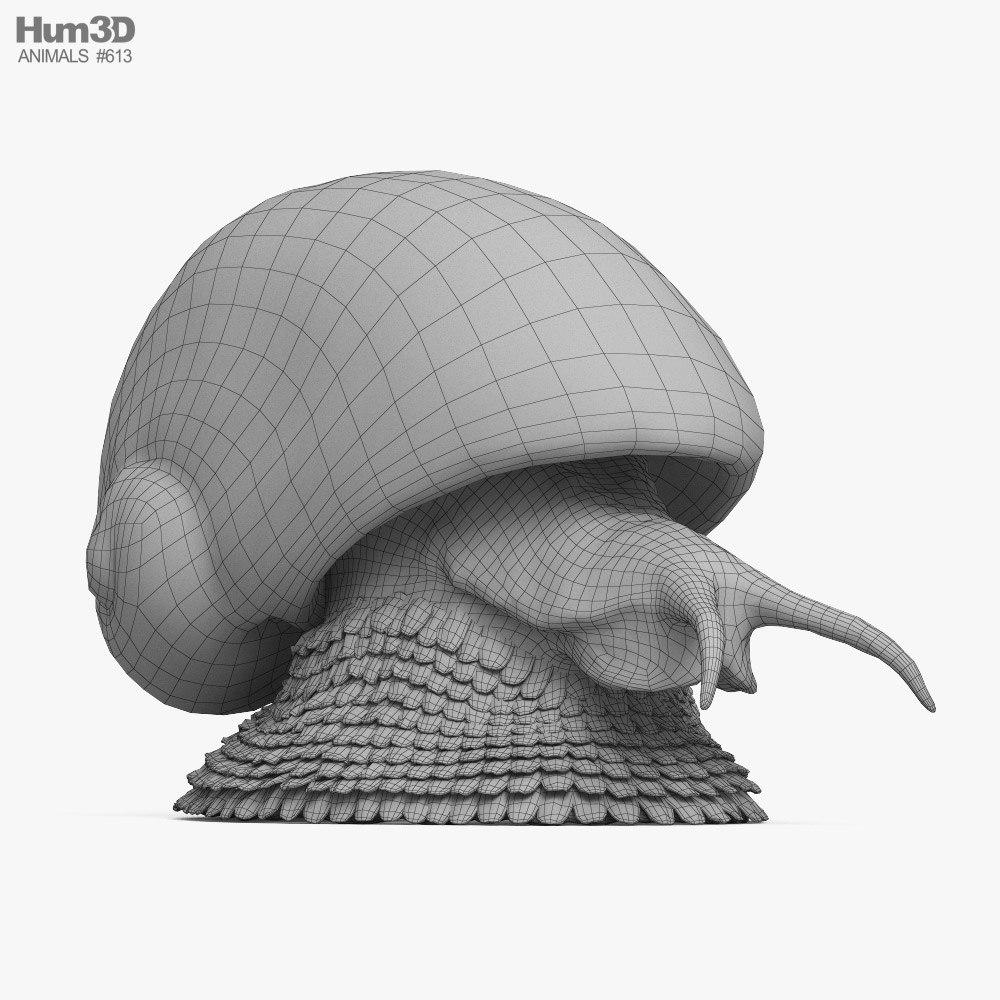 Scaly-Foot Gastropod 3D model - Download Gastropoda on 3DModels.org