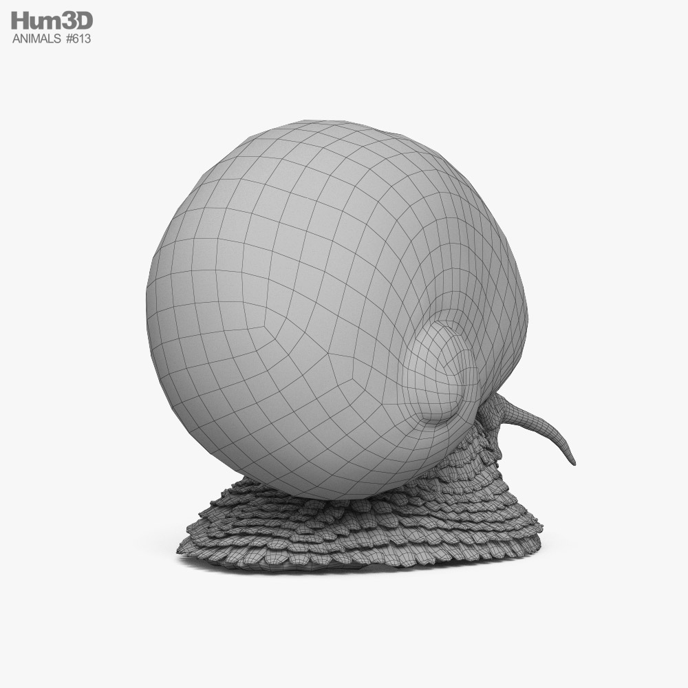 Scaly-Foot Gastropod 3D model - Download Gastropoda on 3DModels.org