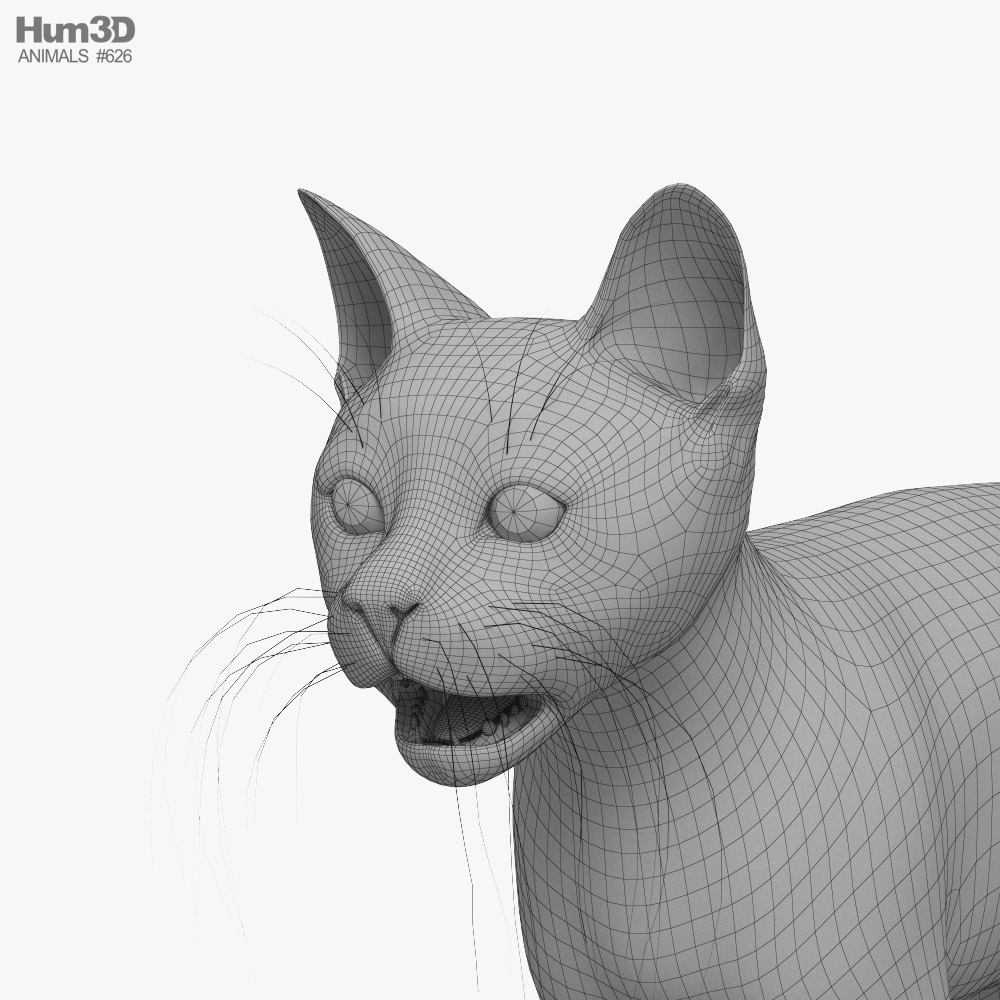 Tuxedo Cat 3D model - Download Mammals on 3DModels.org