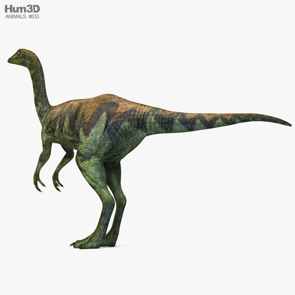 Archaeornithomimus 3D model - Download Dinosaur on 3DModels.org