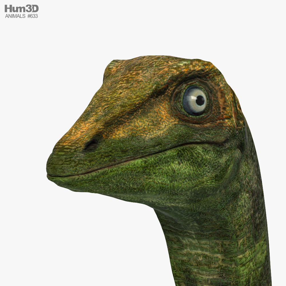 Archaeornithomimus 3D model - Download Dinosaur on 3DModels.org