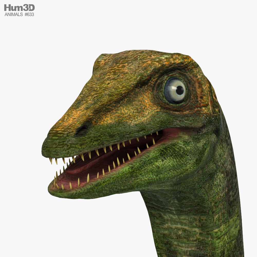 Archaeornithomimus 3D model - Download Dinosaur on 3DModels.org