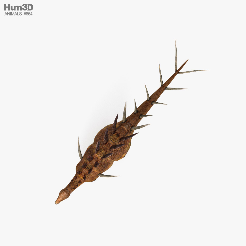 Kentrosaurus 3D model - Download Dinosaur on 3DModels.org