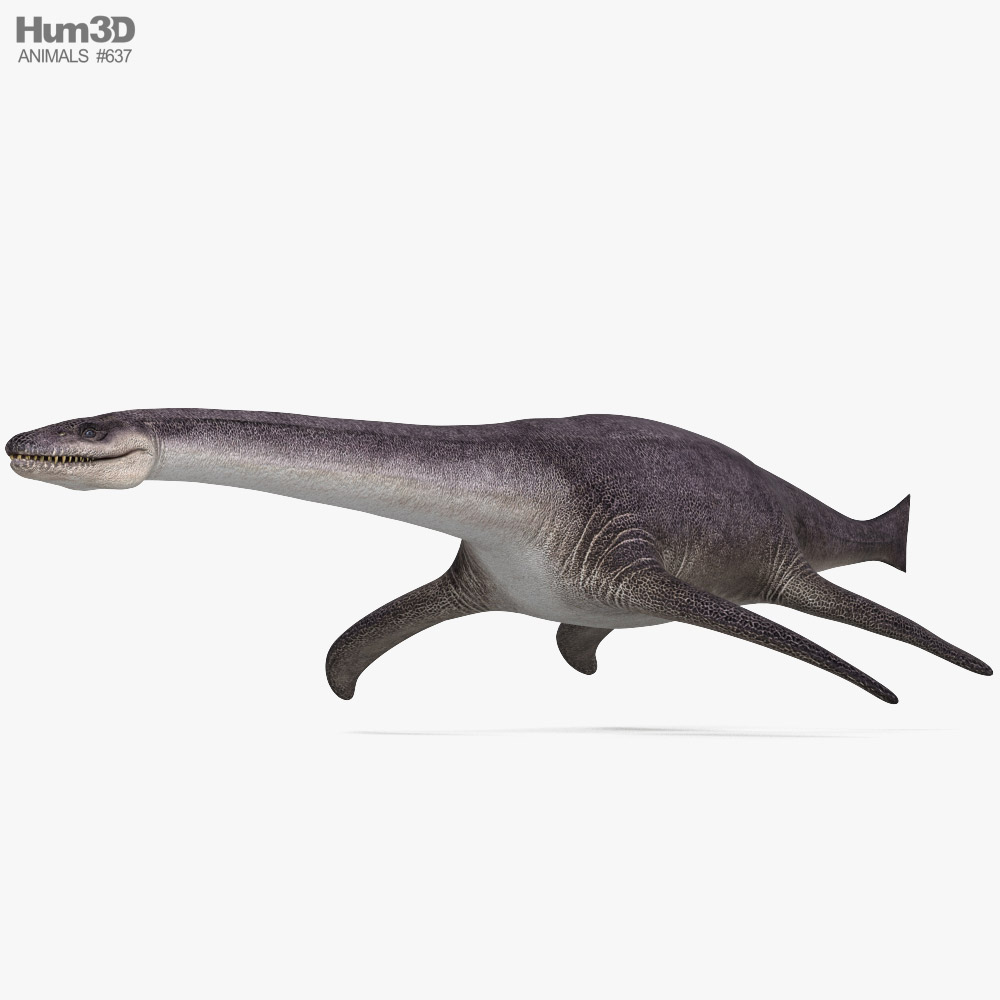 Attenborosaurus 3D 모델 - 다운로드 공룡 on 3DModels.org