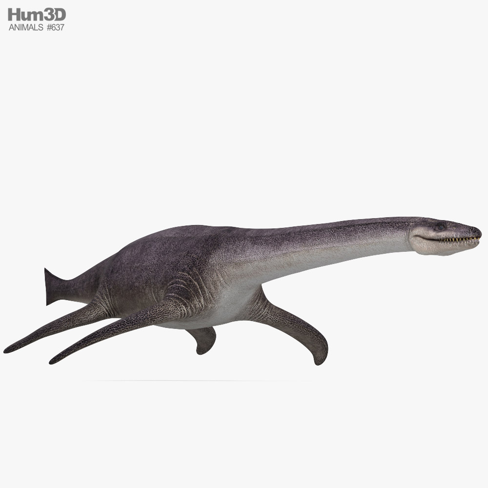 Attenborosaurus 3D 모델 - 다운로드 공룡 on 3DModels.org