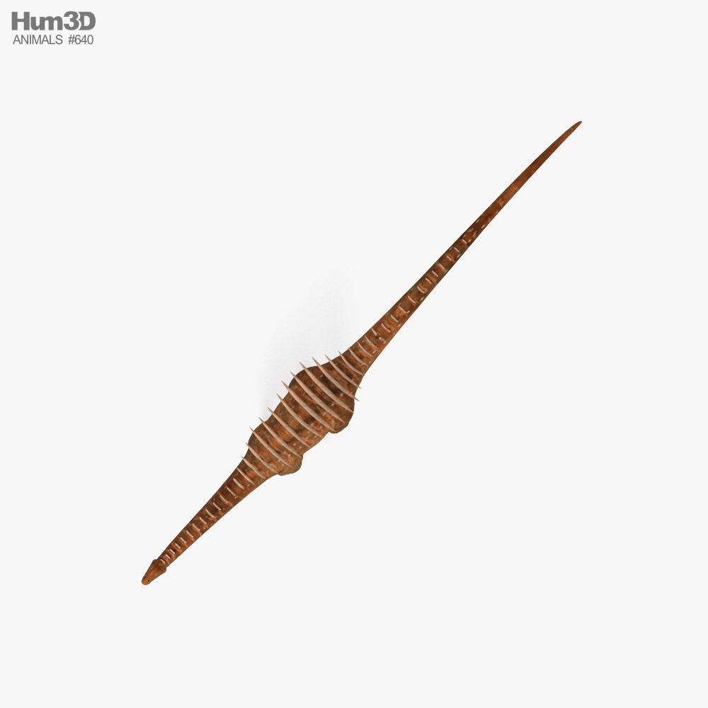 Agustinia 3D model - Download Dinosaur on 3DModels.org