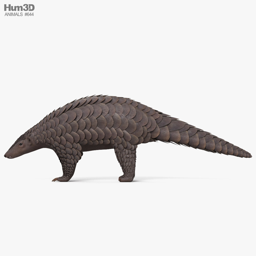 Pangolin 3D 모델 - 다운로드 포유류 on 3DModels.org