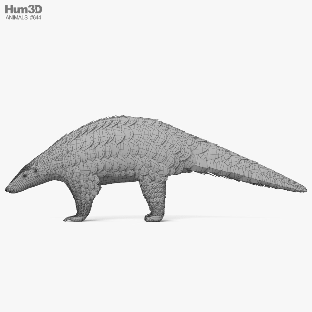 Pangolin 3D model - Download Mammals on 3DModels.org