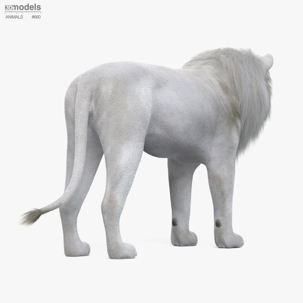 León blanco Modelo 3D - Descargar Mammalia activado 3DModels.org